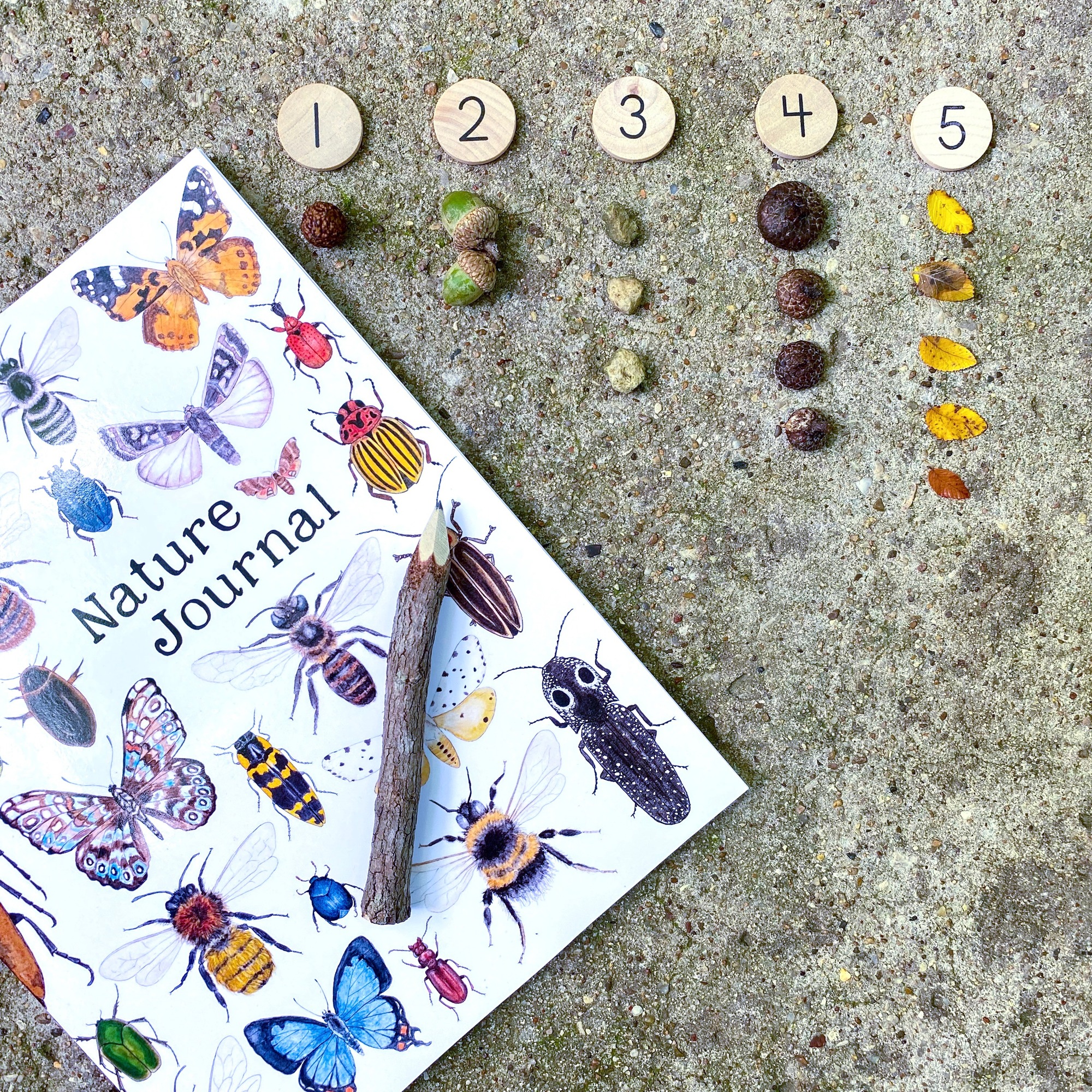 Homeschool Resources for Elementary School